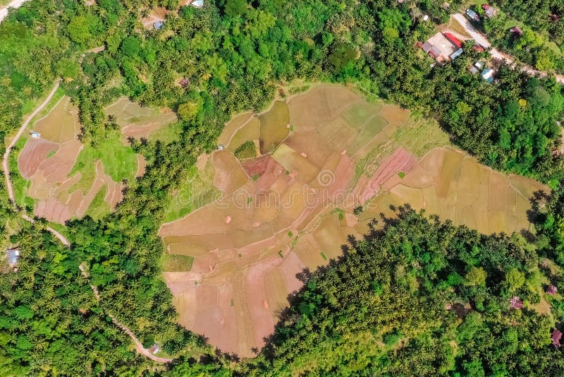 Aerial View from the Drone. Beautiful Green Terrace Paddy Fields on ...
