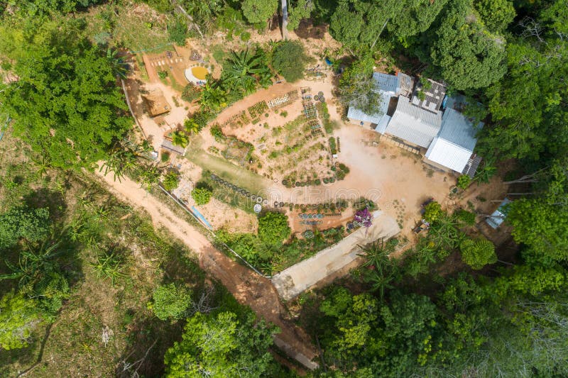Top Down Aerial View Summer Landscape with Mountains Forest Trees and ...