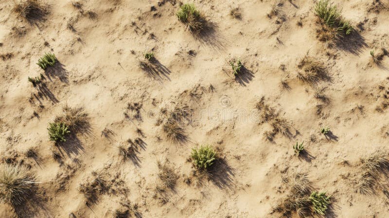 Aerial View of Dry Desert Terrain with Sparse Vegetation Stock ...