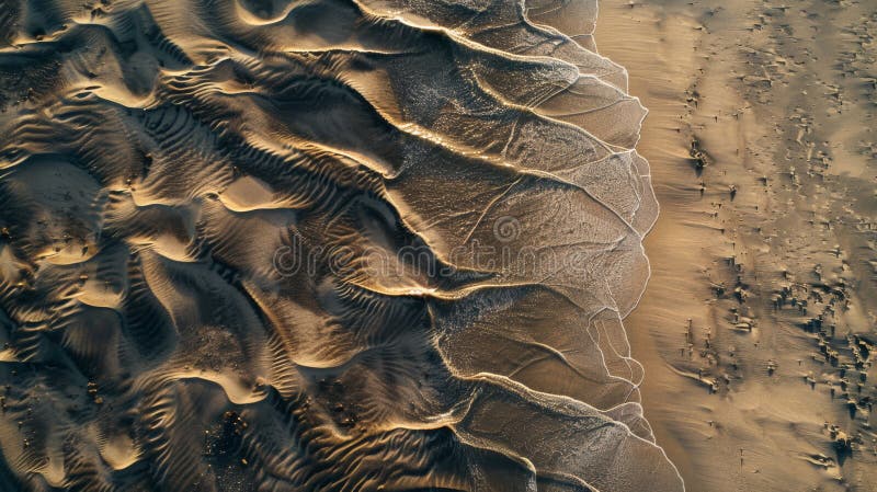 Aerial View of a Dynamic Shoreline with Textured Sand Dunes at Sunset ...