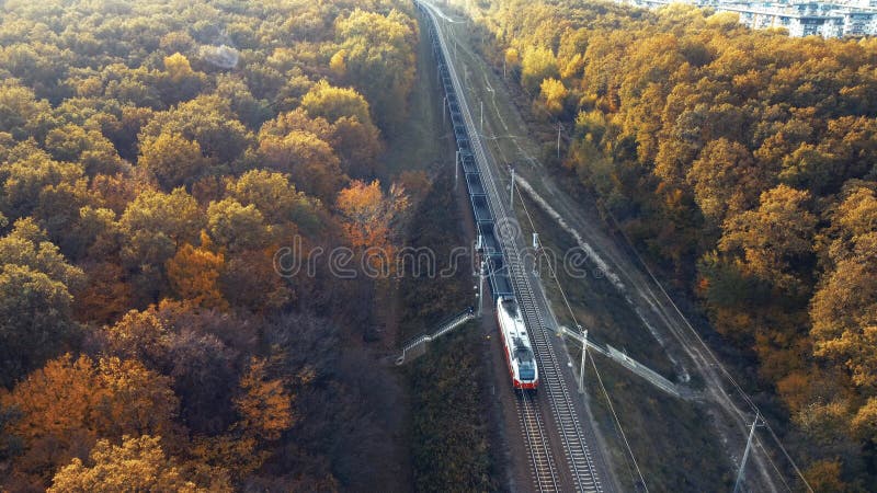 Aerial View of Empty Cargo Train Moving through Autumn Forest Stock ...
