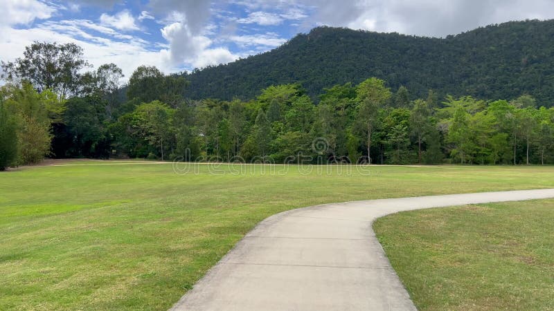 Aerial View of Empty Park Pathway Stock Video - Video of ground ...
