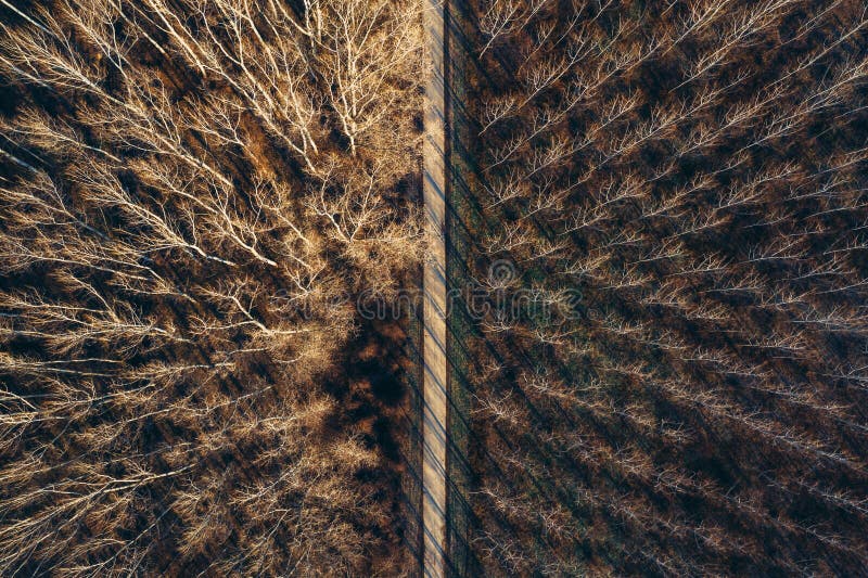 Aerial View of Empty Road through Forest Stock Image - Image of aerial ... Aerial View of Empty Road through Forest Stock Image - Image of aerial ...
