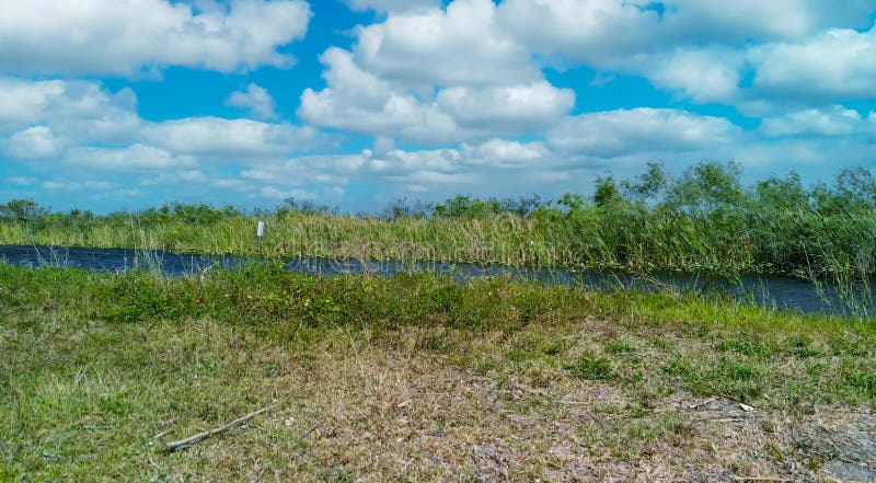 Aerial View of Everglades Landscape, Florida Stock Photo - Image of ...