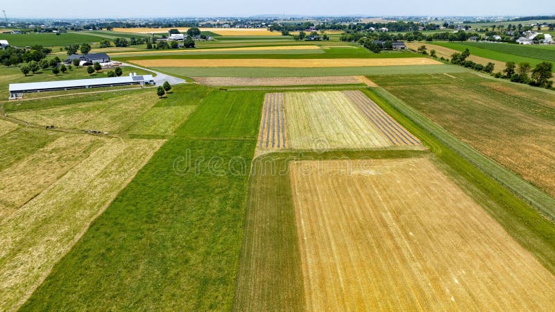 Aerial View of Expansive Farmland with Crops and Pastures Stock Photo ...