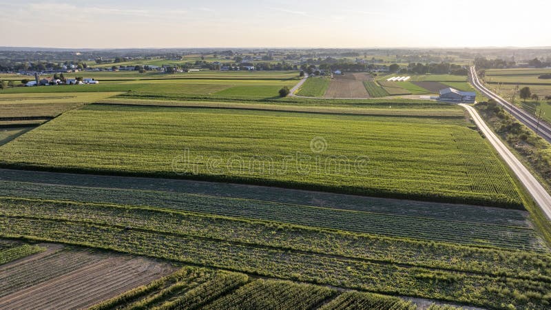Aerial View of Expansive Farmland at Sunset Stock Image - Image of ...