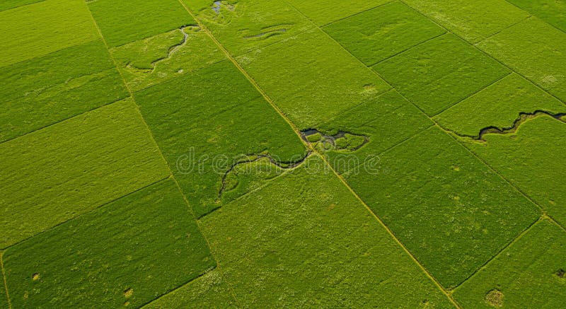Aerial View of Expansive Green Fields Divided into Large Rectangular ...