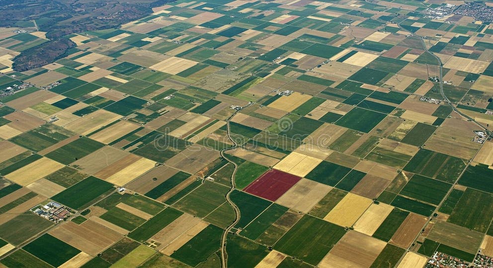 Aerial View of an Extensive Patchwork of Agricultural Fields Divided ...