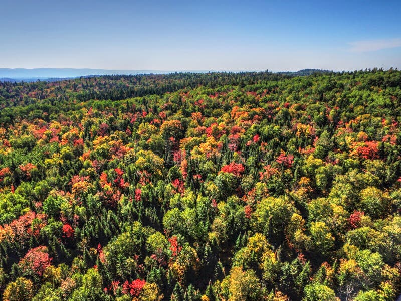 Aerial View of Fall Colored Forest Hills Stock Photo - Image of leaves ...