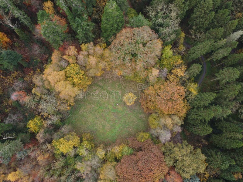 Aerial View of a Fall Forest with a Clearing in the Center Stock Image ...