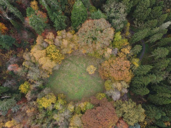 Aerial View of a Fall Forest with a Clearing in the Center Stock Image ...