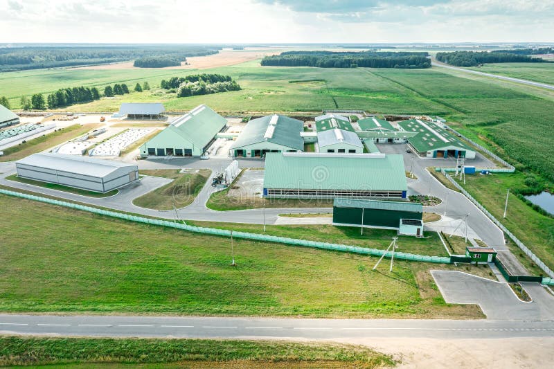 A farm dog point of view stock photo. Image of living - 77785832