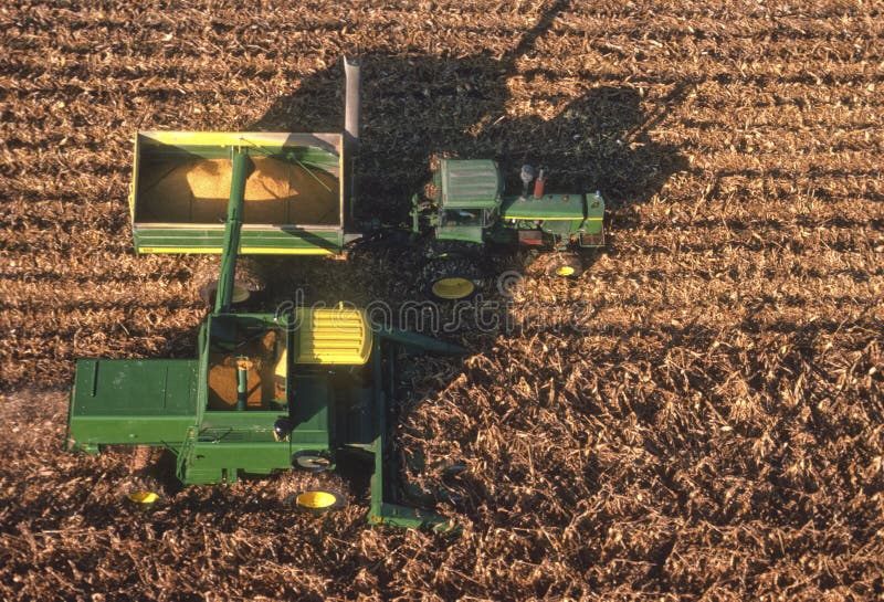 8,118 Aerial View Corn Field Photos - Free & Royalty-Free Stock Photos ...