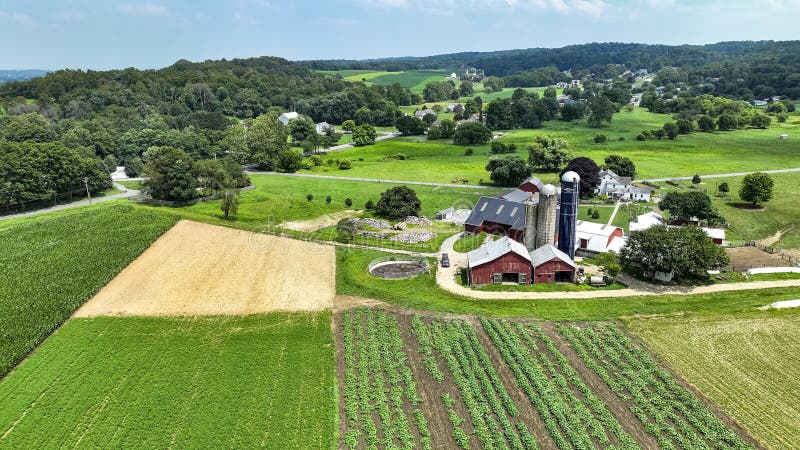 Aerial View of a Farm with Green Fields and Crops Stock Image - Image ...