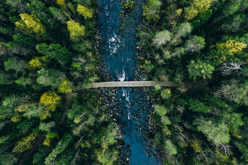 Aerial View of Fast River Flow through the Rocks and Green Forest ...