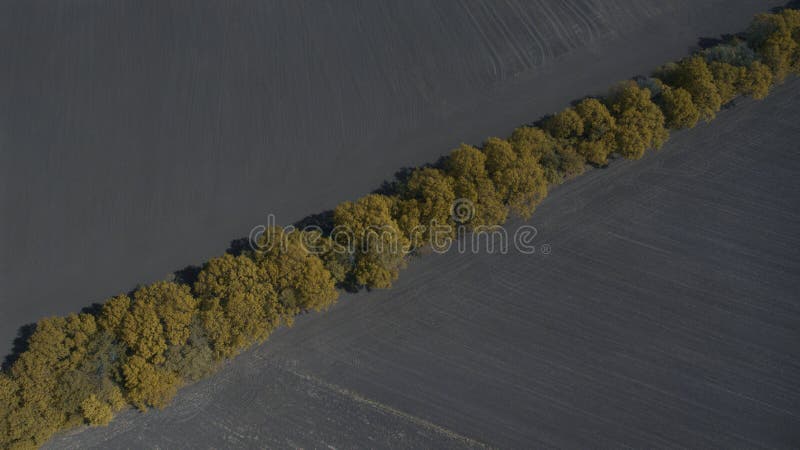 Aerial View of a Field from Above in the Spring Stock Photo - Image of ...