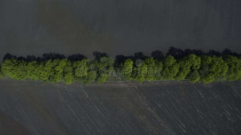 Aerial View of a Field from Above in the Spring Stock Photo - Image of ...