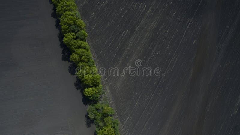 Aerial View of a Field from Above in the Spring Stock Image - Image of ...