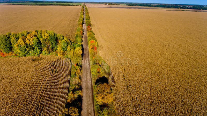 Aerial View of the Field Autumn Road. Aerial View. Stock Image - Image ...
