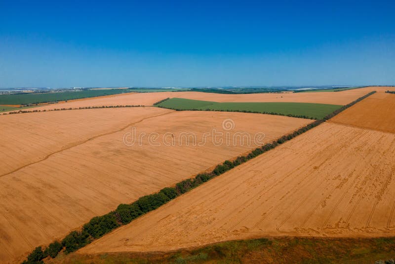 Aerial View of the Field with Different Crops. Stock Photo - Image of ...