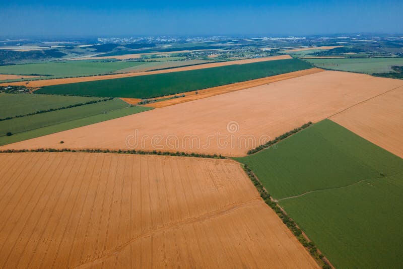 Aerial View of the Field with Different Crops. Stock Image - Image of ...