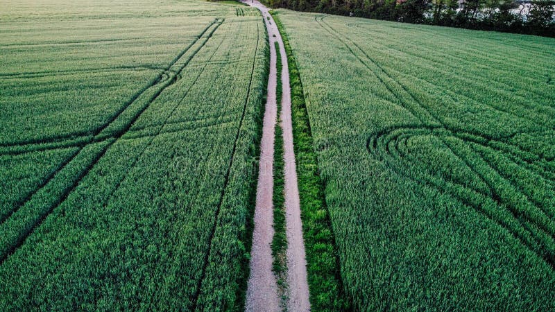 Aerial View of a Field with Pathway Stock Photo - Image of environment ...