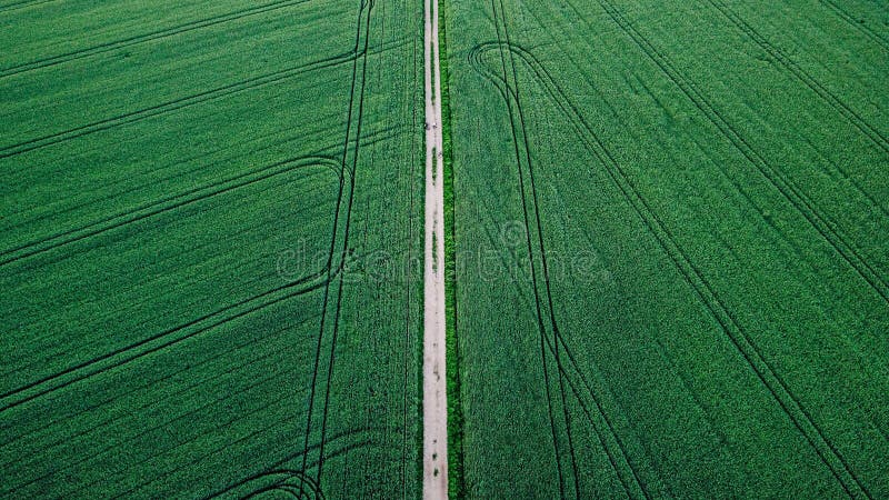Aerial View of a Field with Pathway Stock Image - Image of landscape ...
