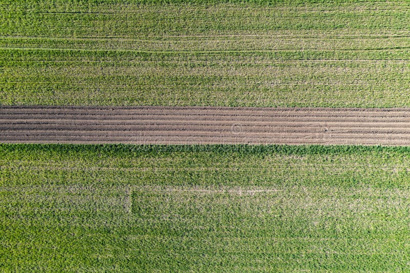 Aerial View of the Field, Photo Taken from a Drone Stock Image - Image ...