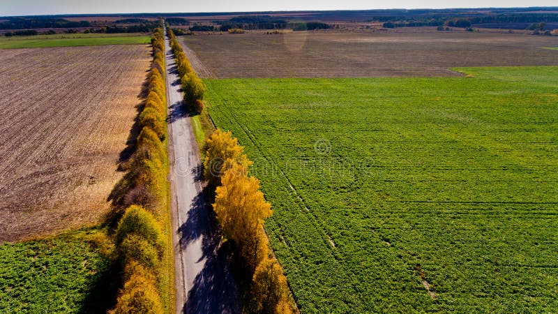 Aerial View of the Field Road. Stock Image - Image of natural, path ...