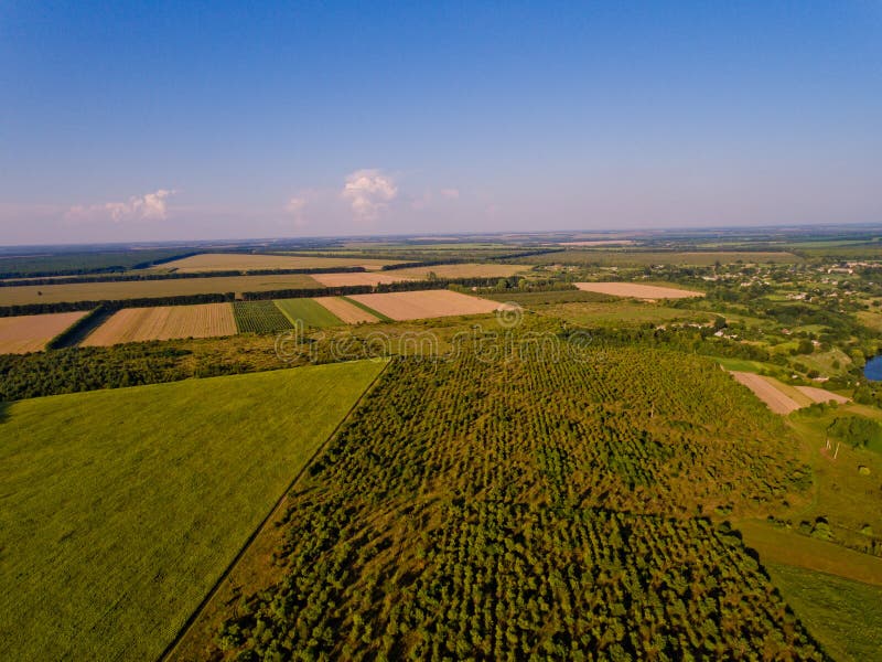 Aerial View Of Fields, Forest, River, A Beautiful Landscape Of Nature ...