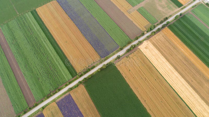 Aerial View of Fields with Various Types of Agriculture Stock Photo ...