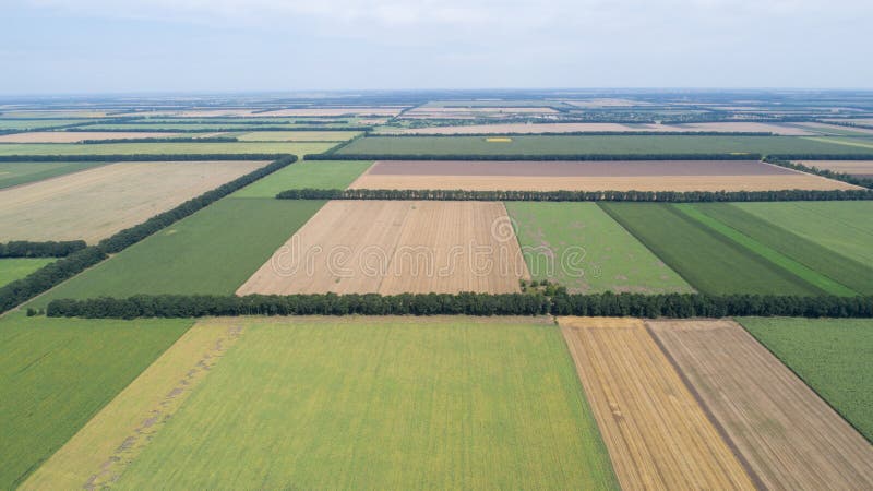 Aerial View of Fields with Various Types of Agriculture Stock Image ...