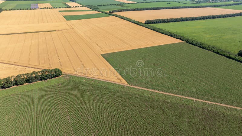 Aerial View of Fields with Various Types of Agriculture Stock Image ...