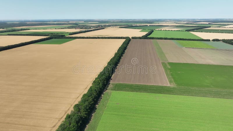Aerial View of Fields with Various Types of Agriculture. Stock Footage ...