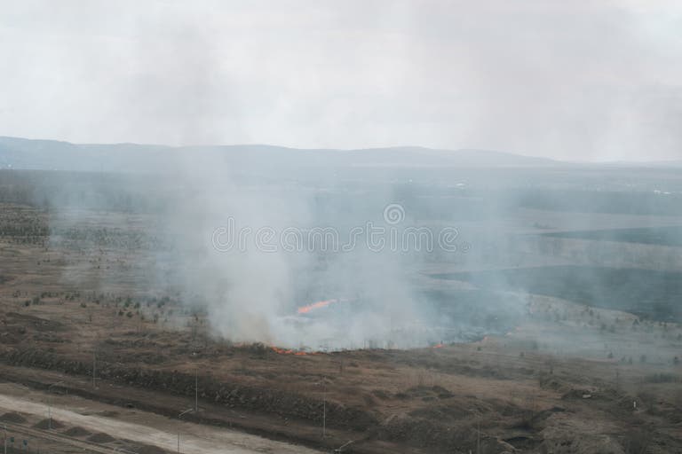 Aerial View Fire in the Forest Burning Trees and Grass Stock Photo ...