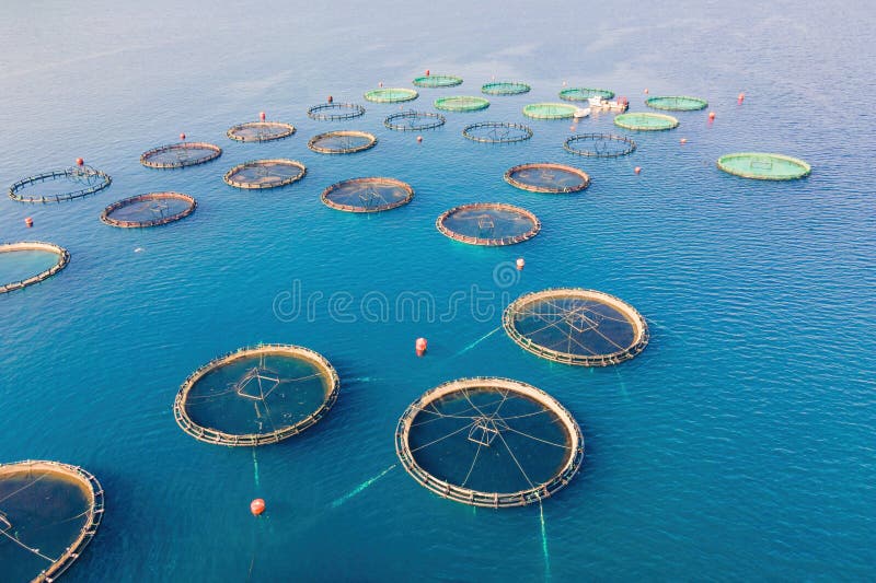 Fish Farming in Aegean Sea Aerial View Stock Photo - Image of fish ...
