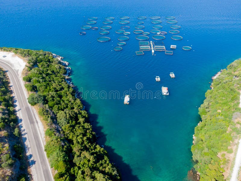 Aerial View of Fish Farms in the Sea Stock Photo - Image of ...
