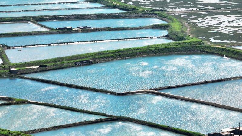 Aerial View of Fish and Prawn Ponds Stock Video - Video of environment ...