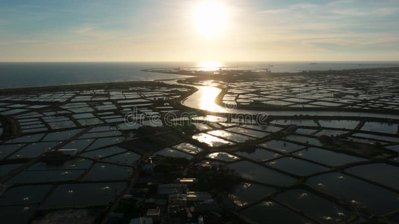 Aerial View of Fish and Prawn Ponds Stock Footage - Video of ...