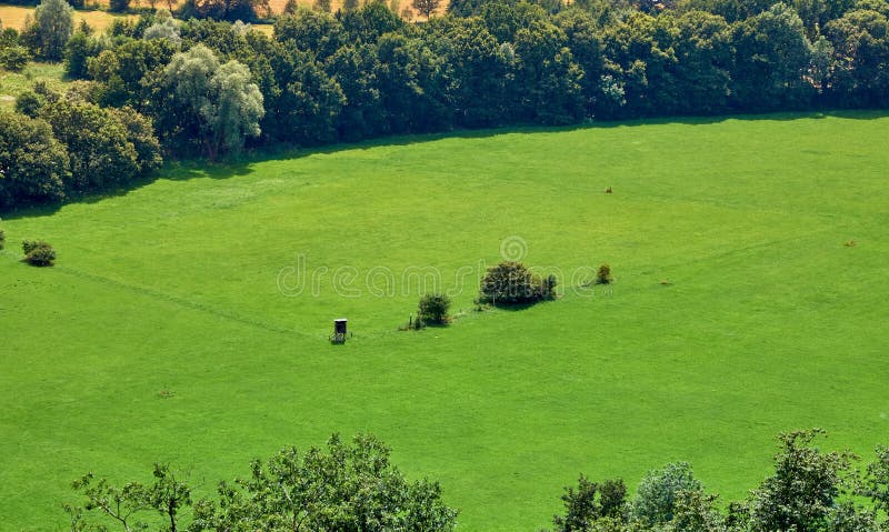 Aerial View of a Flat Flat Deep Green Meadow with a Few Bushes and a ...