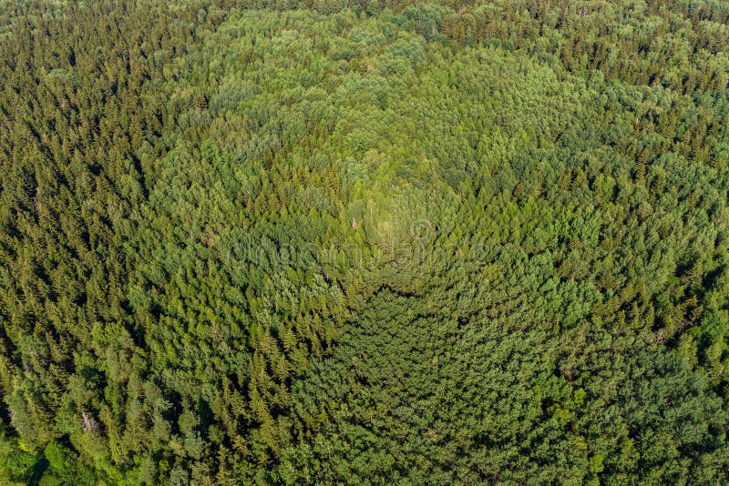 Aerial View in Flight on Green Forest Stock Photo - Image of hike, wild ...