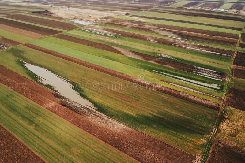 Aerial View of Flooded Cultivated Fields from Drone Pov Stock Photo ...