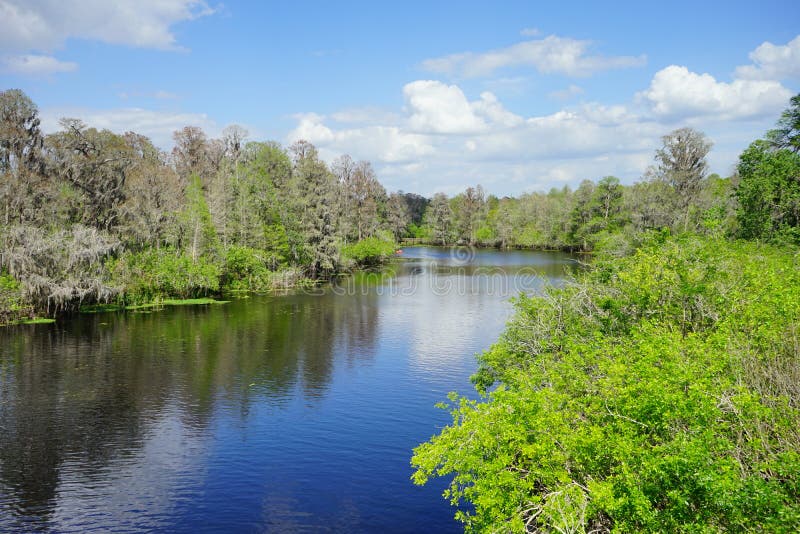 Aerial View of Florida Lake Stock Image - Image of beach, ocean: 68595491