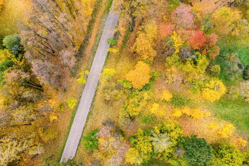 Aerial View of Footpath in the Park with Colorful Fall Foliage Stock ...
