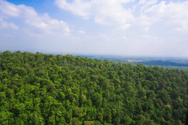 Aerial view of forest stock image. Image of flight, field - 82911183