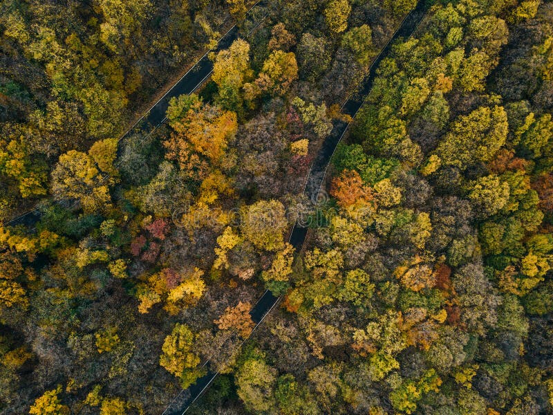 Aerial View of the Forest in Autumn Stock Image - Image of landscape ...