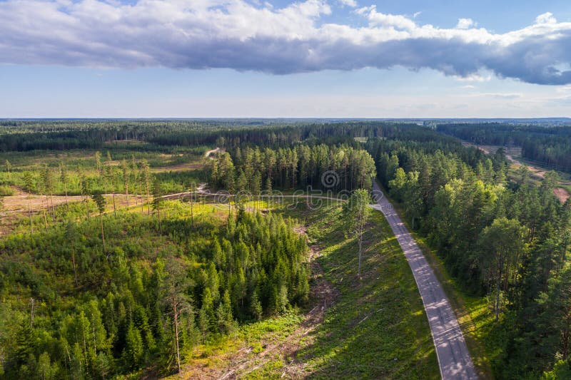 Aerial Shot of Forest and Deforestation Over the Hills with Trees ...