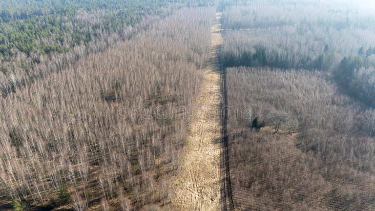 Aerial View of Forest with Cleared Path Stock Image - Image of ...