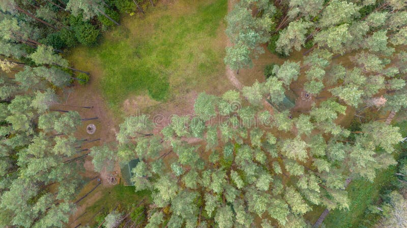 The View from a Clearing in the Forest. Stock Photo - Image of white ...