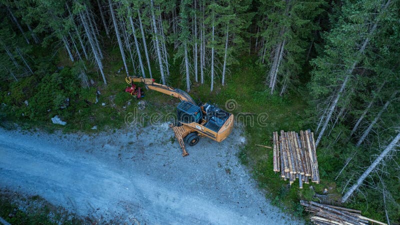 Aerial View of the Forest Cutting Stock Image - Image of cutting, rural ...